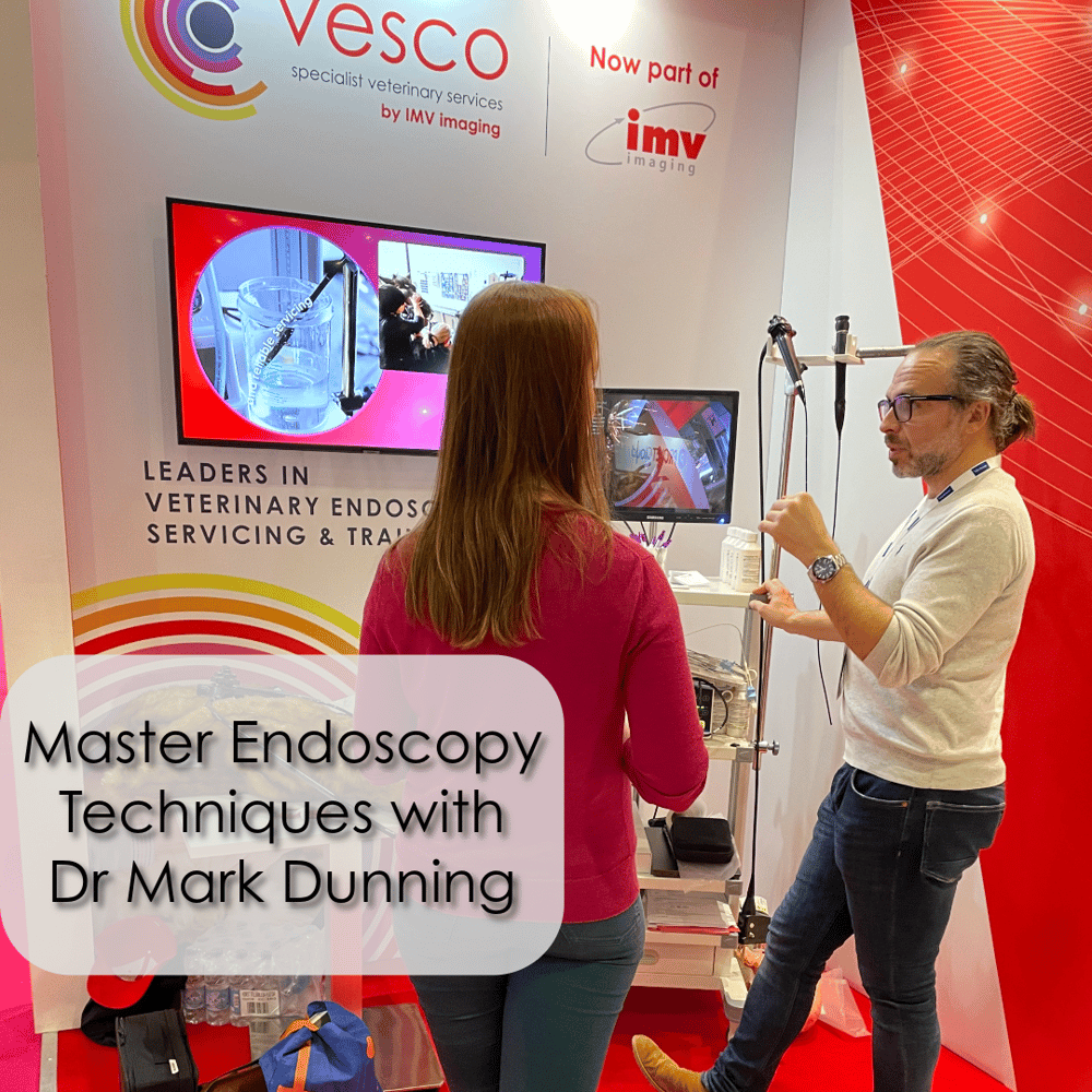 LVS 2024 - More than just imaging