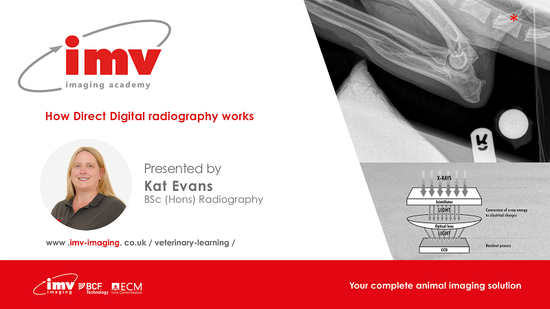 IMV imaging small animal radiography webinars