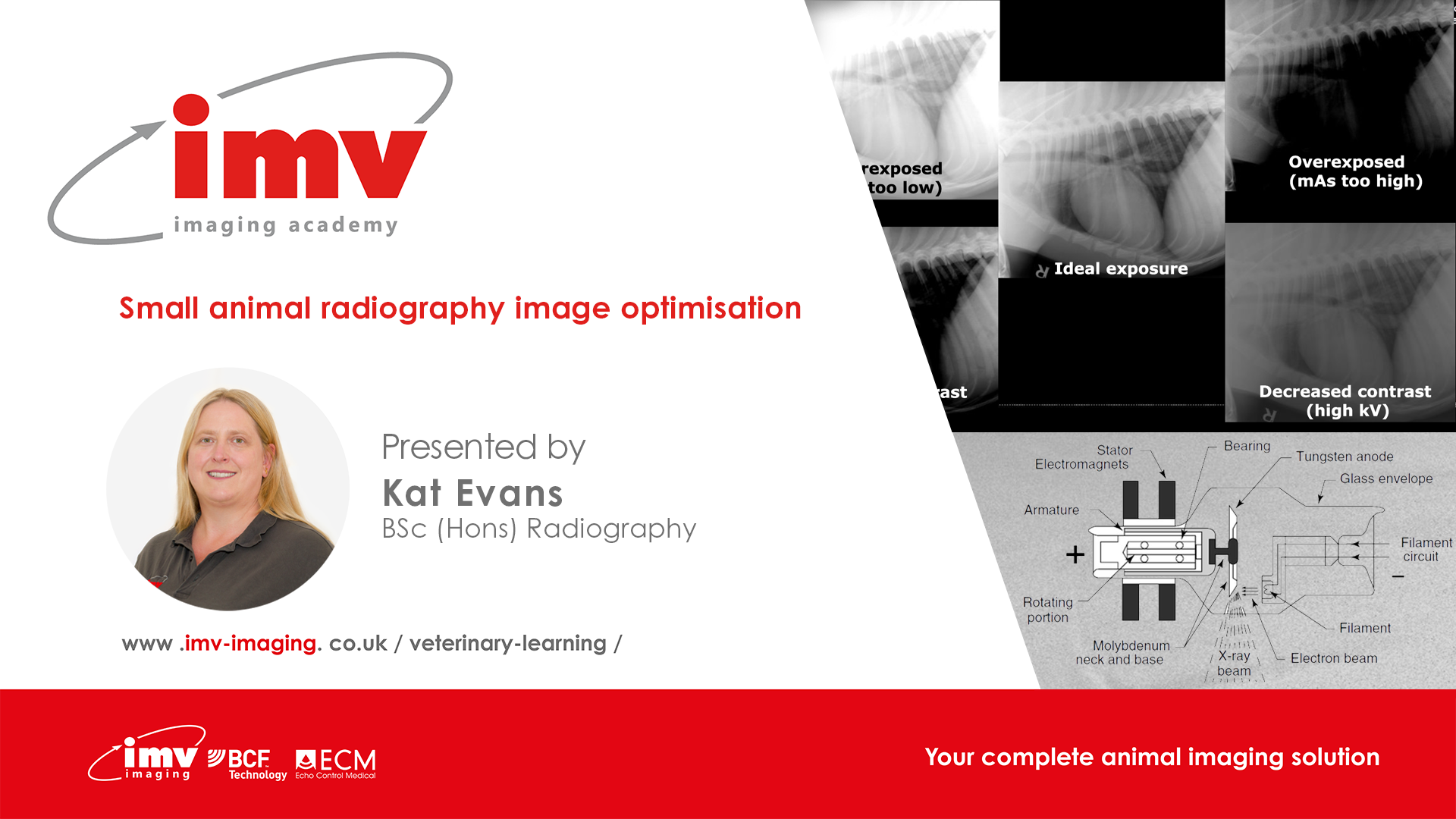 IMV imaging small animal radiography webinars