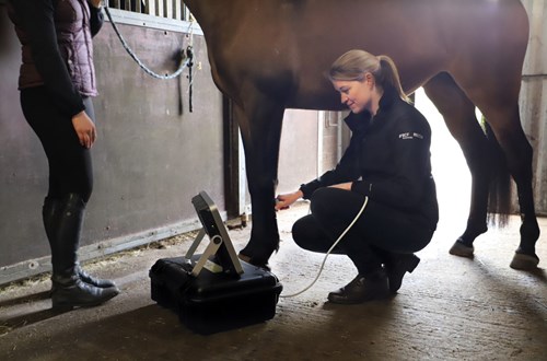 UK BEVA 2021 Giveaways